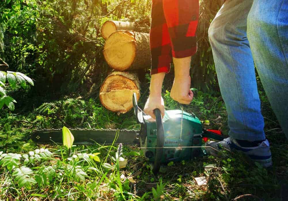 Chainsaw Stuck In Tree Here S How To Get It Out Progardentips