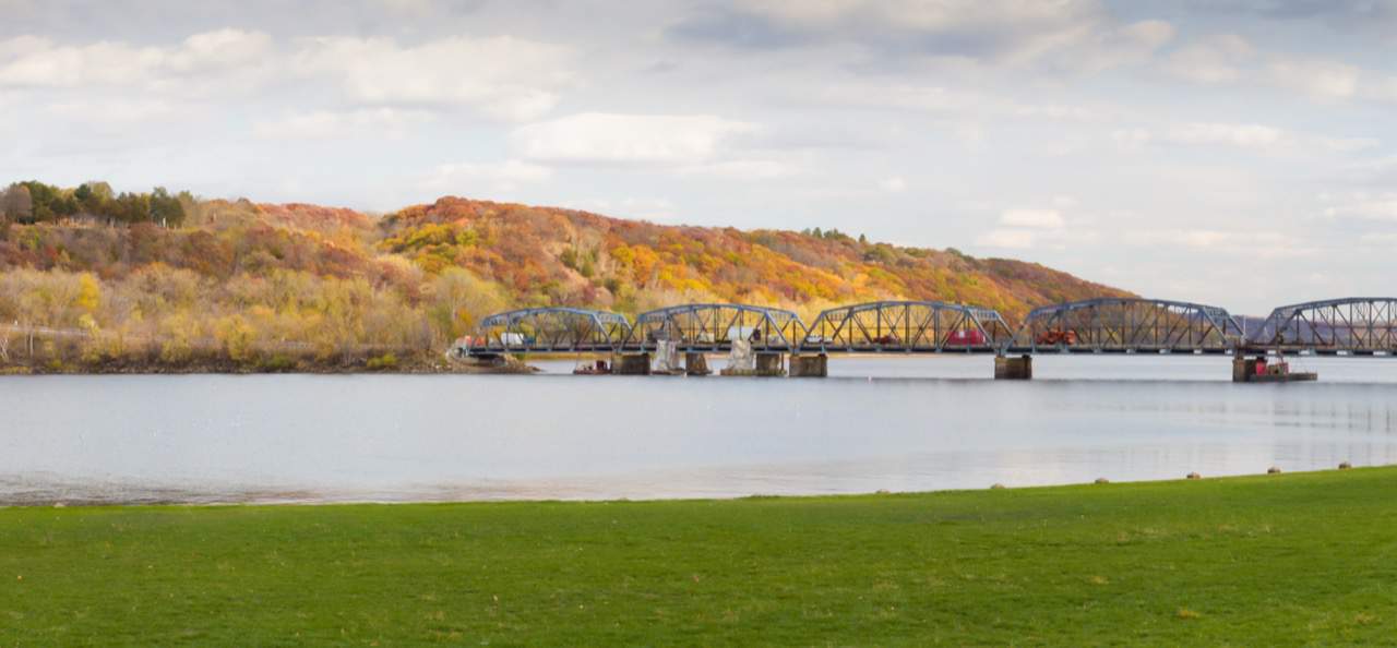 25 Most Common Trees in Wisconsin - ProGardenTips
